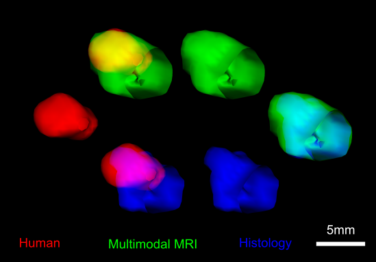 James Larkin | Trinity College Oxford